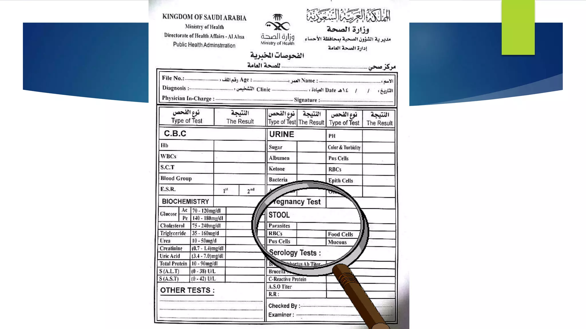 Stool Analysis Interpretation | PPTX
