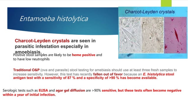 Stool Analysis Interpretation | PPTX | Digestive Disorders | Diseases ...