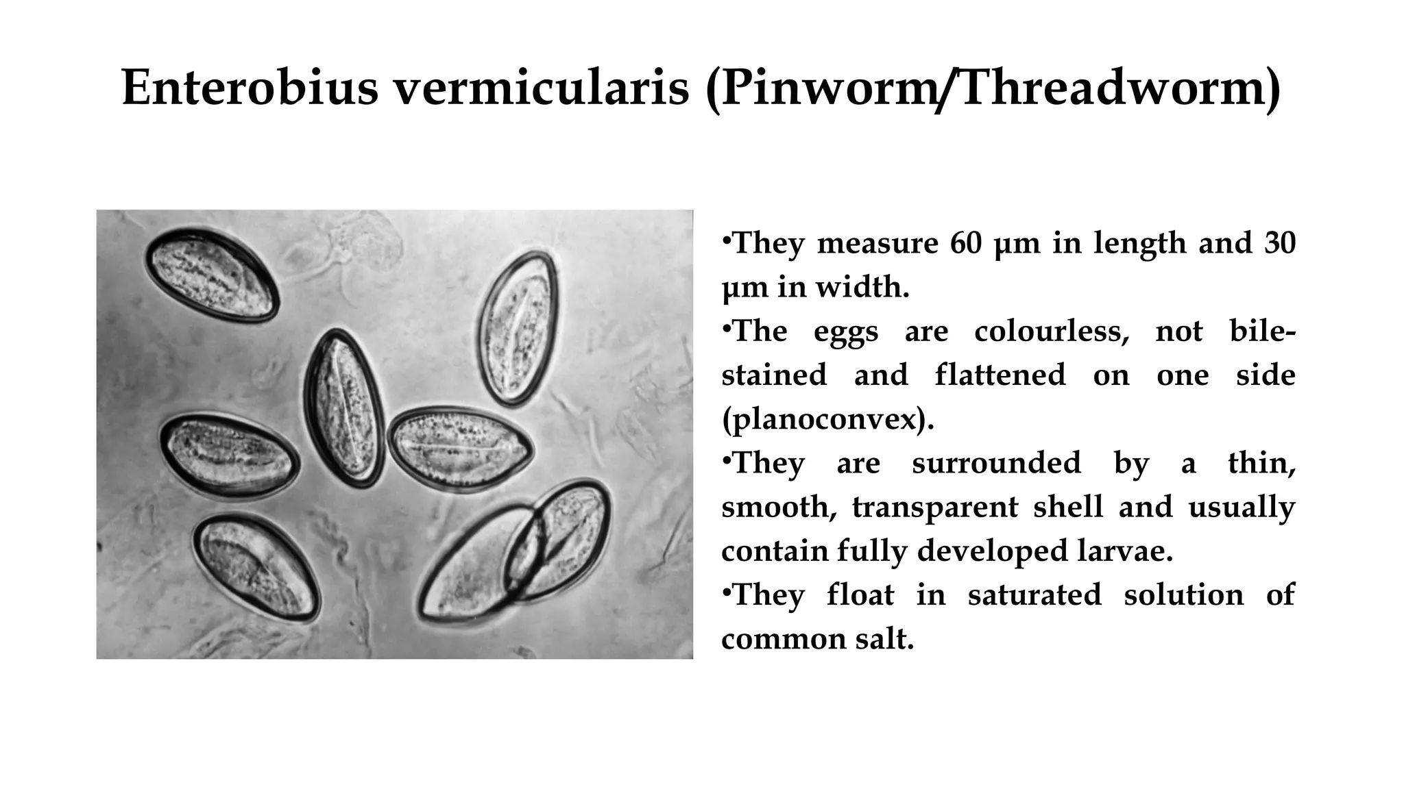 Stool exam ppt for microbiology purpose overview pptx | PPTX