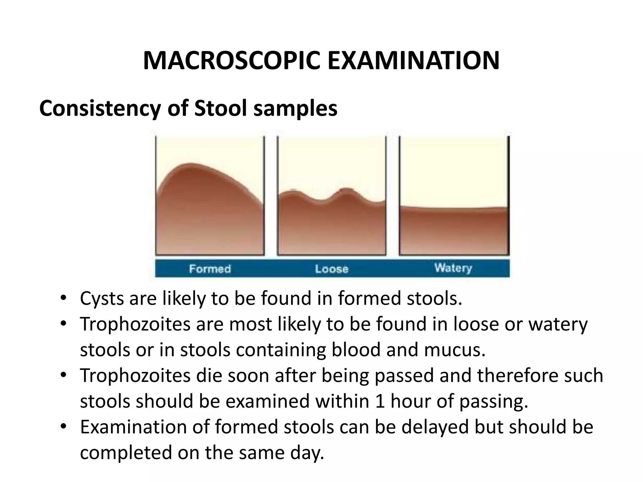 Stool Examination | PPTX
