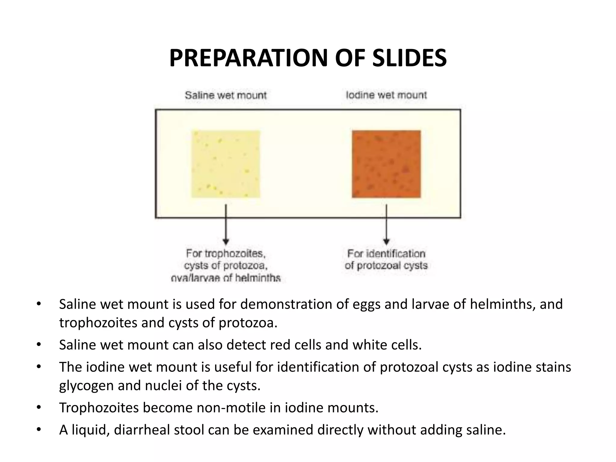 Stool Examination | PPTX