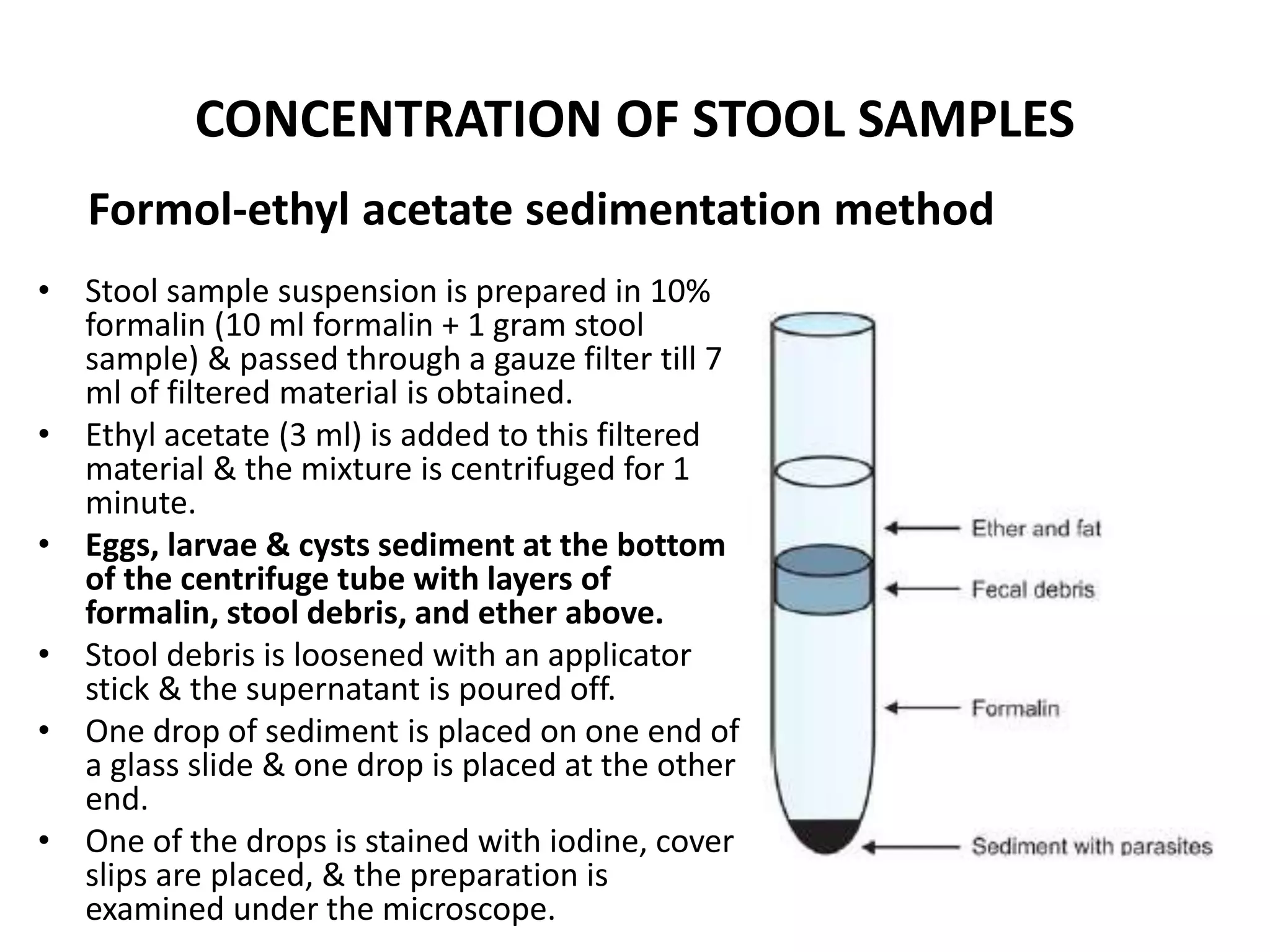 Stool Examination | PPTX