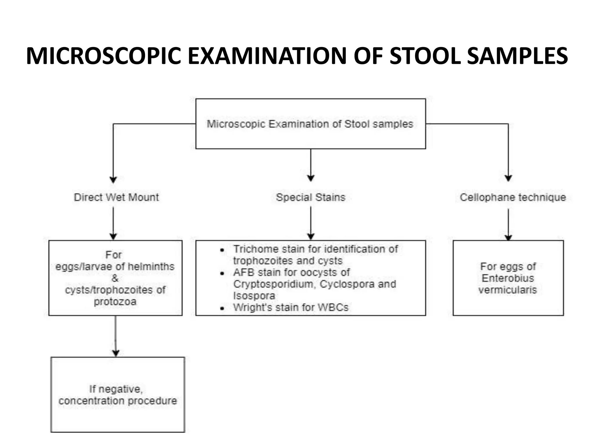 Stool Examination | PPTX