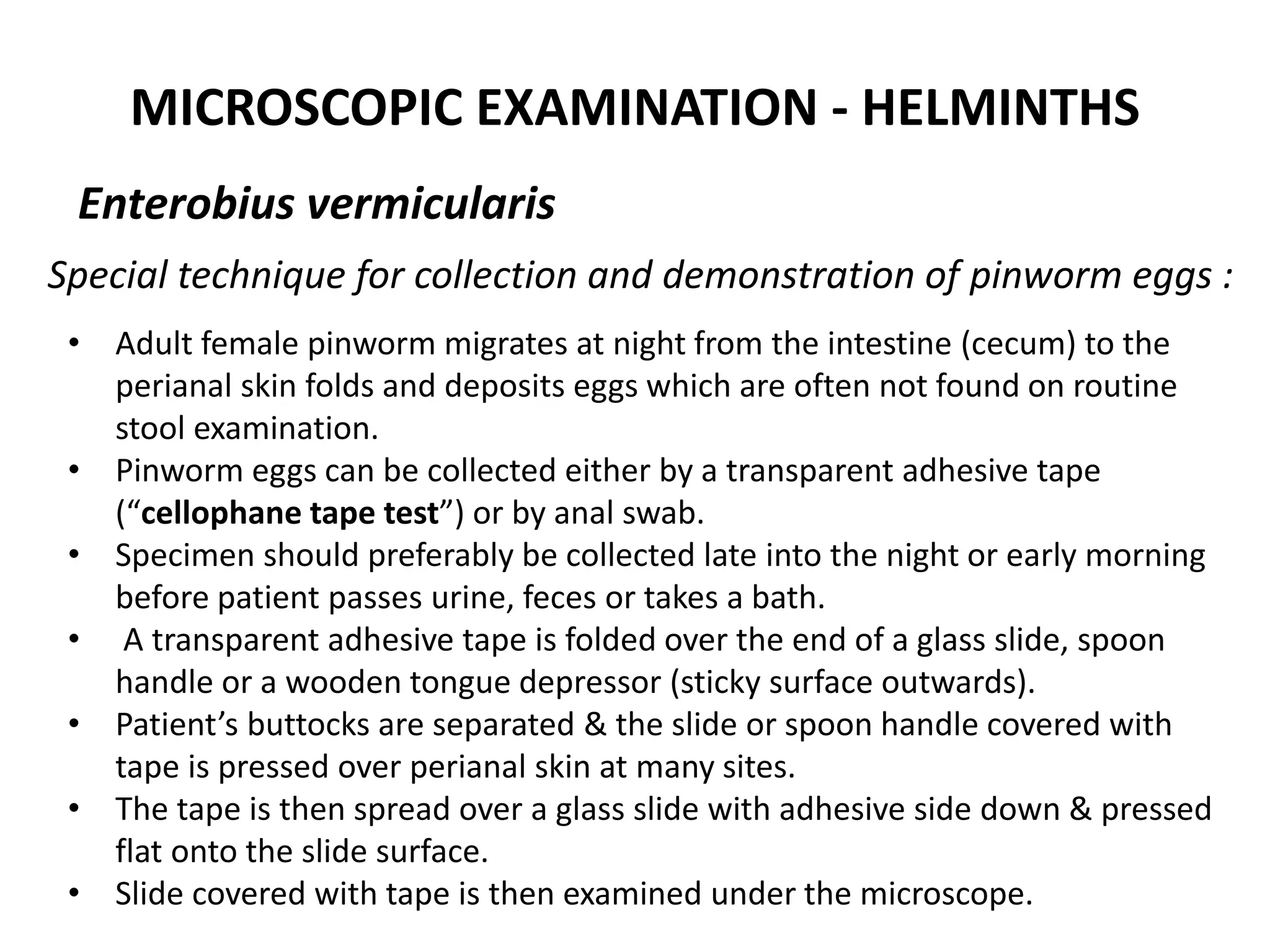 Stool Examination | PPTX