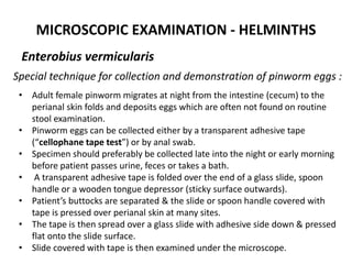 Stool Examination | PPTX