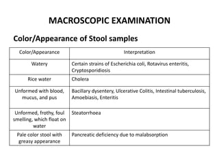 Stool Examination | PPT