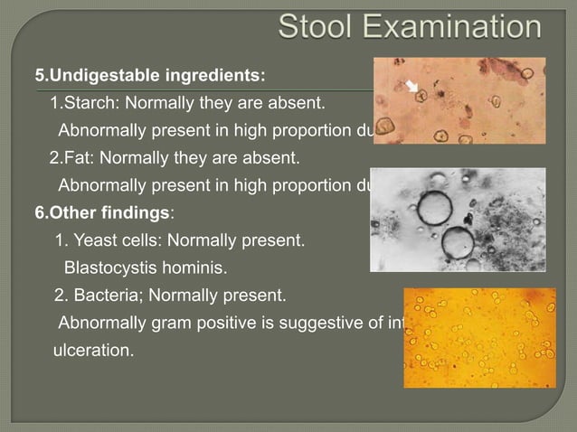 Stool examination | PPTX | Digestive Disorders | Diseases and Conditions