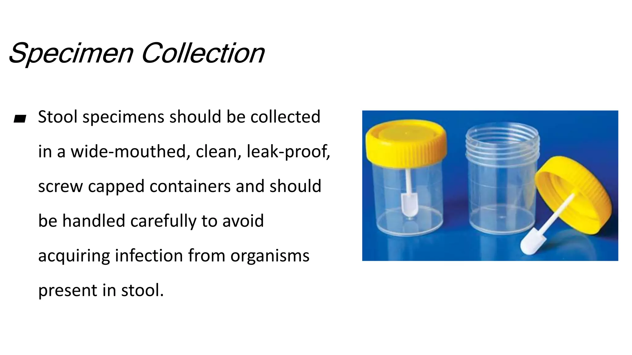 Stool examination | PPTX