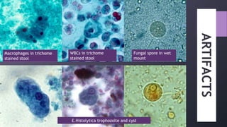 STOOL EXAMINATION.pdf