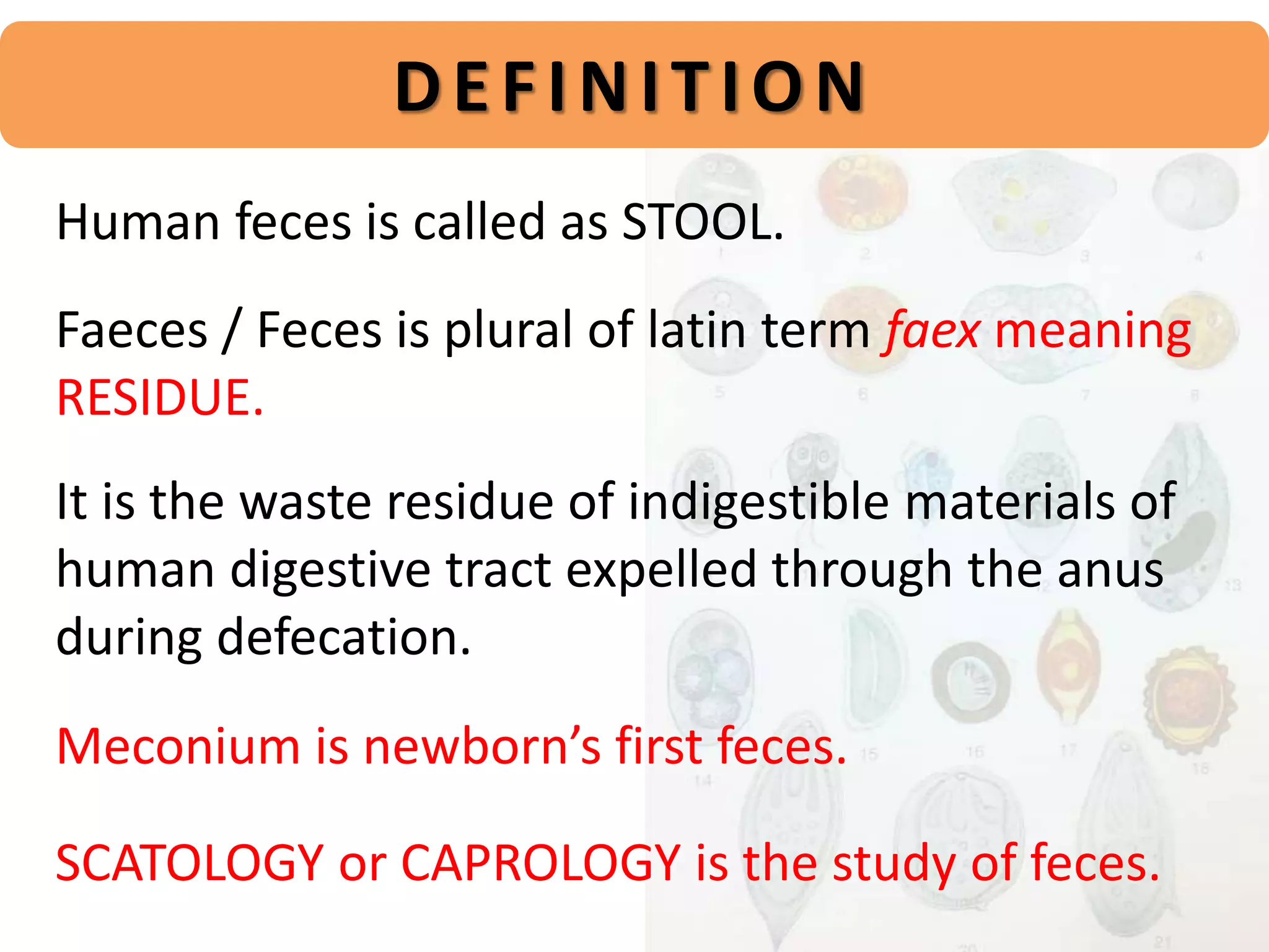 Stool examination.pptx