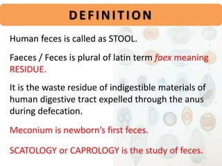 Stool examination.pptx