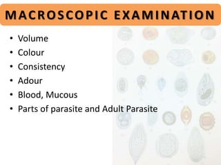 Stool examination.pptx