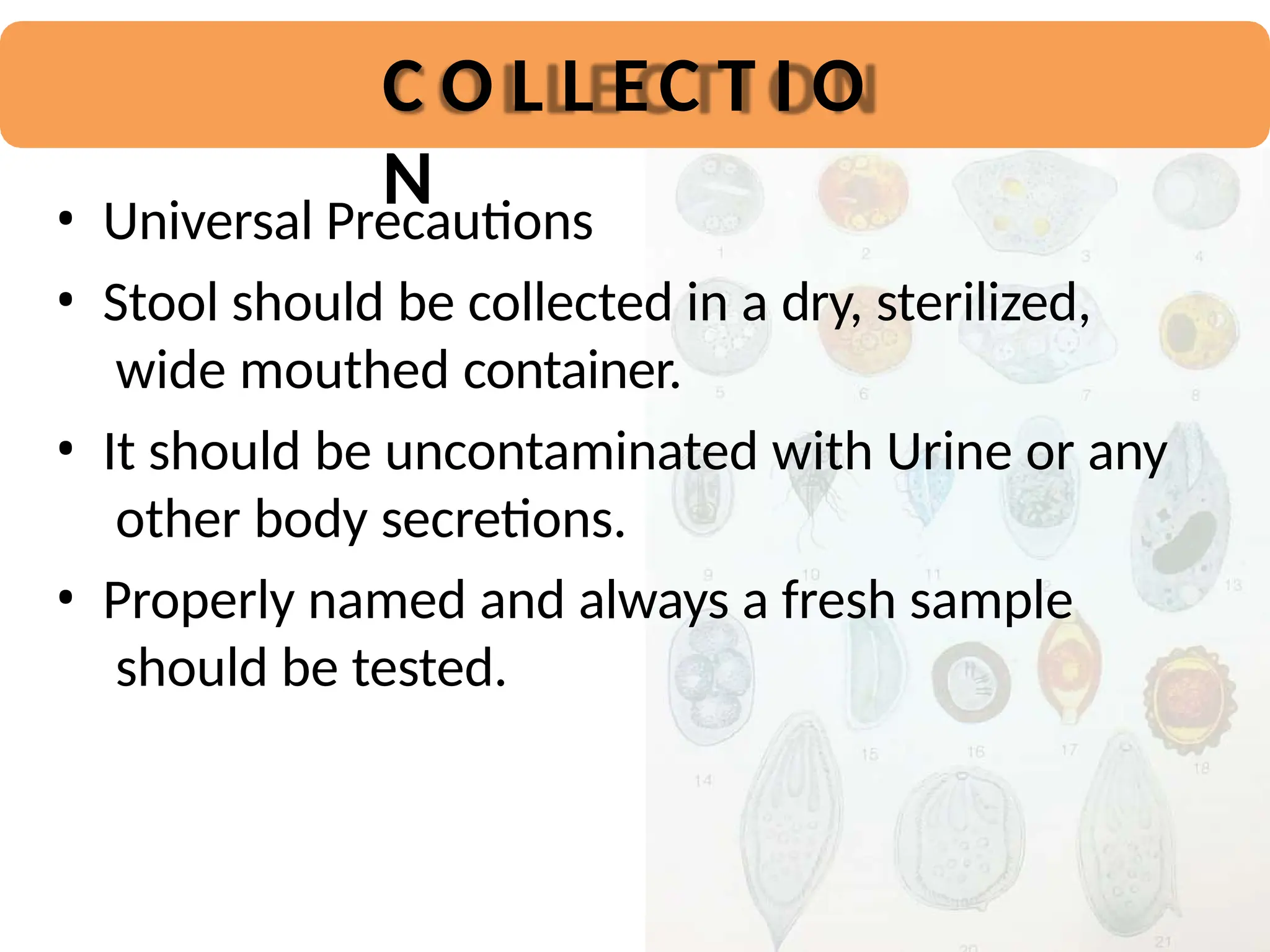 Stool Examination.pptx clinical pathology | PPTX