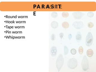 Clinical pathology ppts free download ppts | PPTX