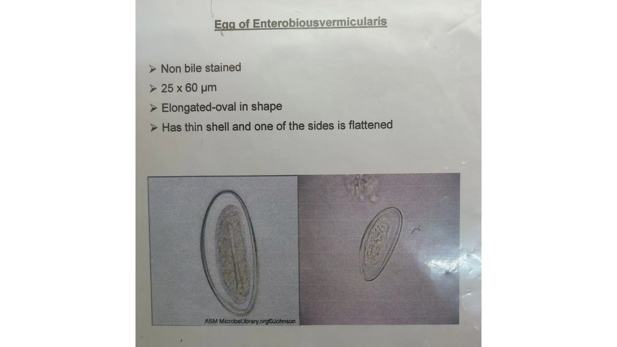 Stool examination microbiology mbbs 2nd .pptx