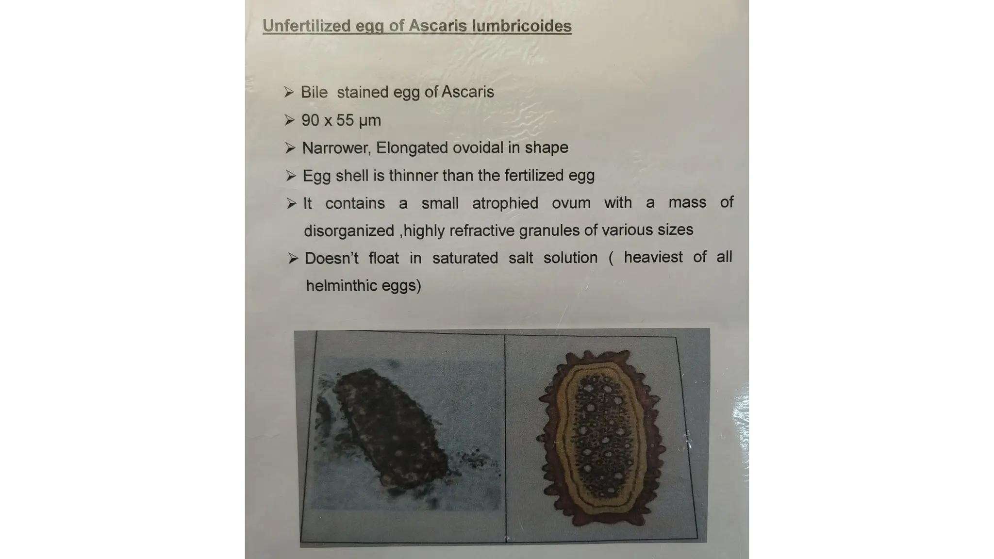 Stool examination microbiology mbbs 2nd .pptx