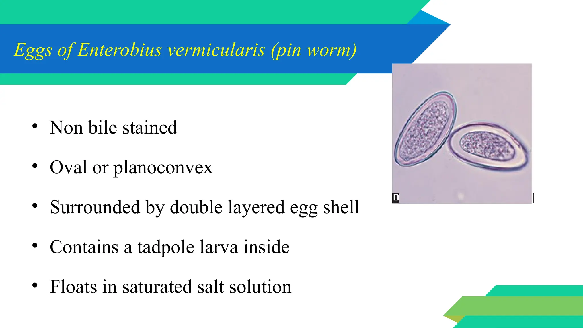 Stool Examination Slims Pondicherry Pptx