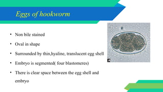 Stool examination slims pondicherry.pptx