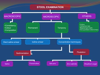 Stool examination dr.vinutha | PPT