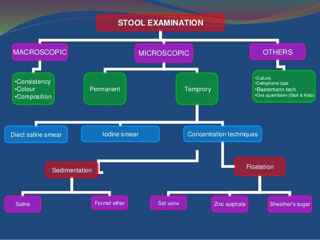 Stool examination dr.vinutha