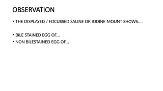 STOOL EXAMINATION - EXERCISE for mbbs students | PPTX