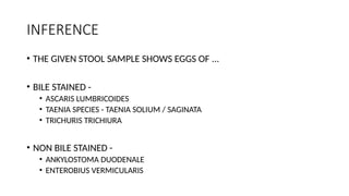 STOOL EXAMINATION - EXERCISE for mbbs students | PPTX