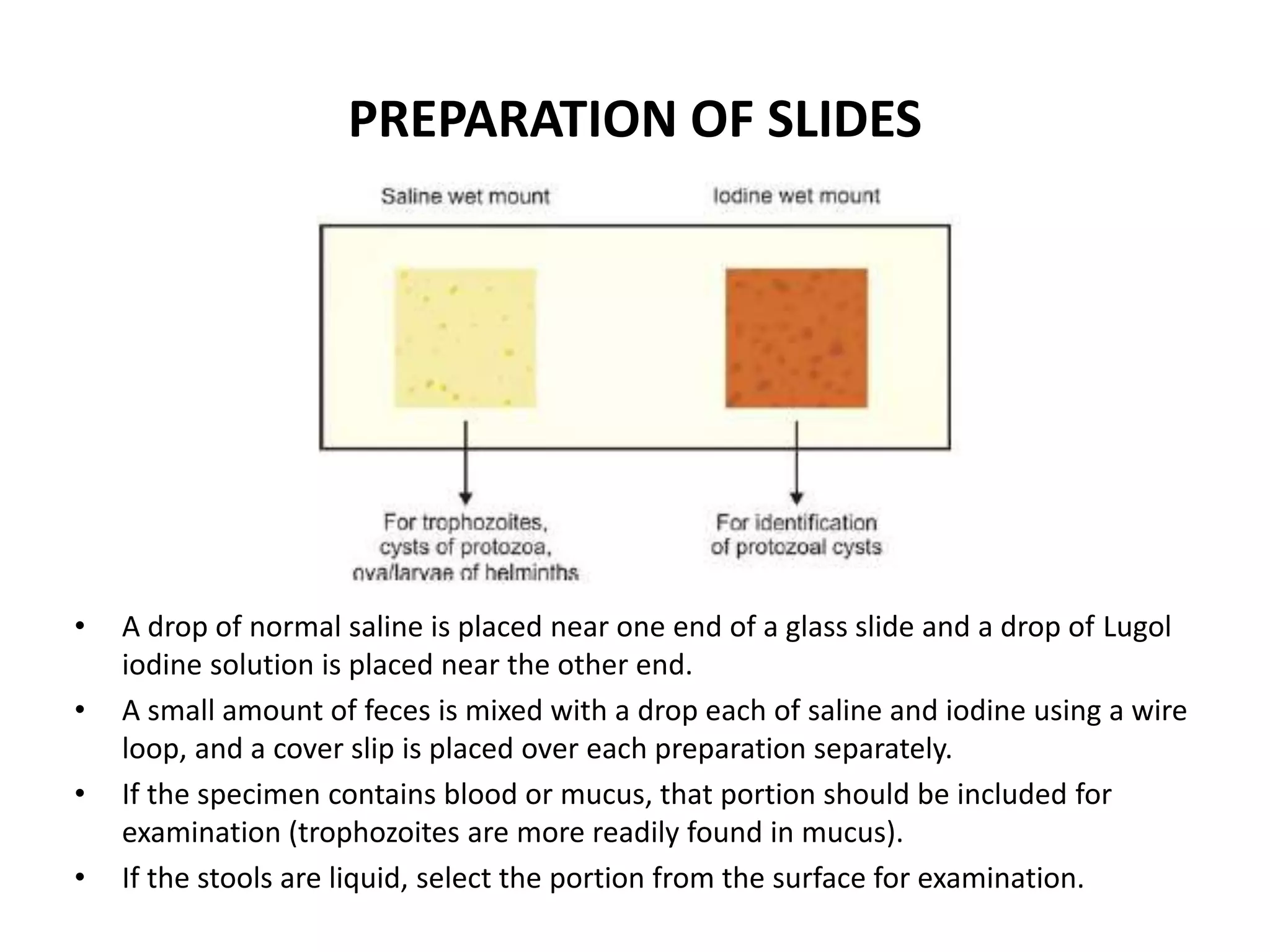 Stool Examination Abridged What A Medical Graduate Should Know | PPTX