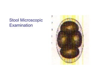 stool examination MSCMEDICAL LAB TECHNOLOGY | PPT