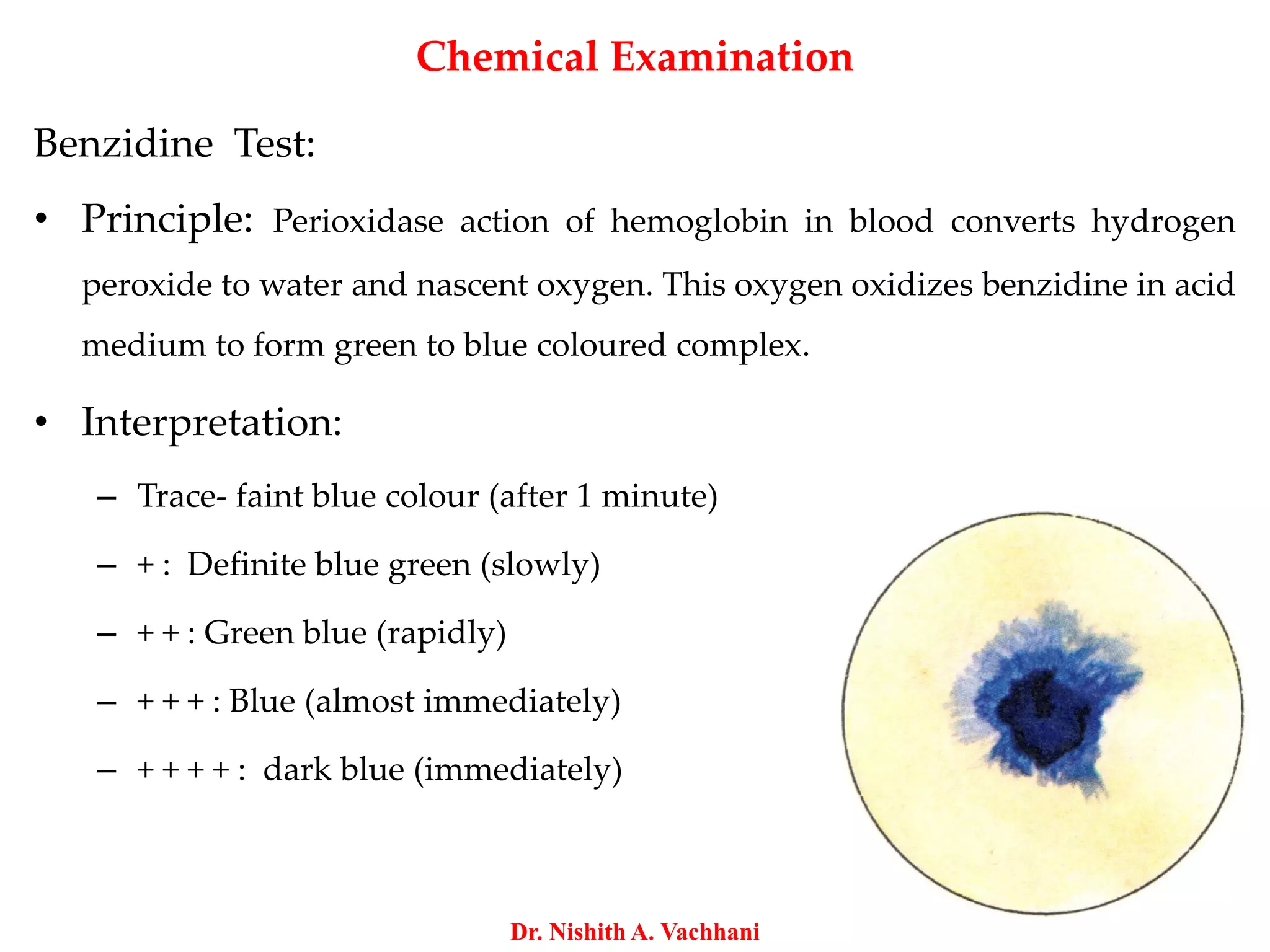 Stool Examinations | PDF