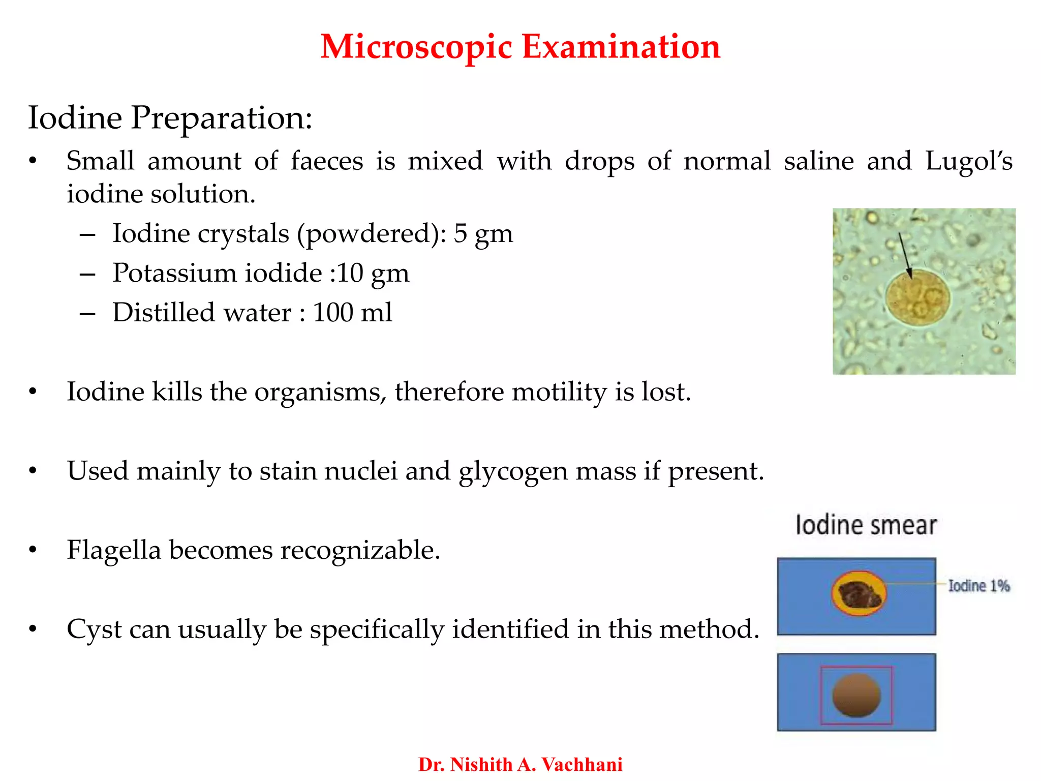 Stool Examinations | PDF