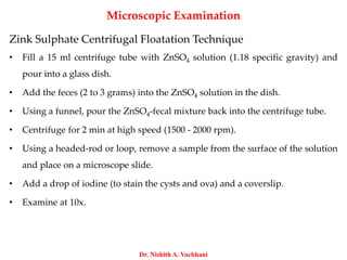 Stool Examinations | PDF