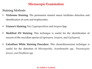Stool Examinations | PDF