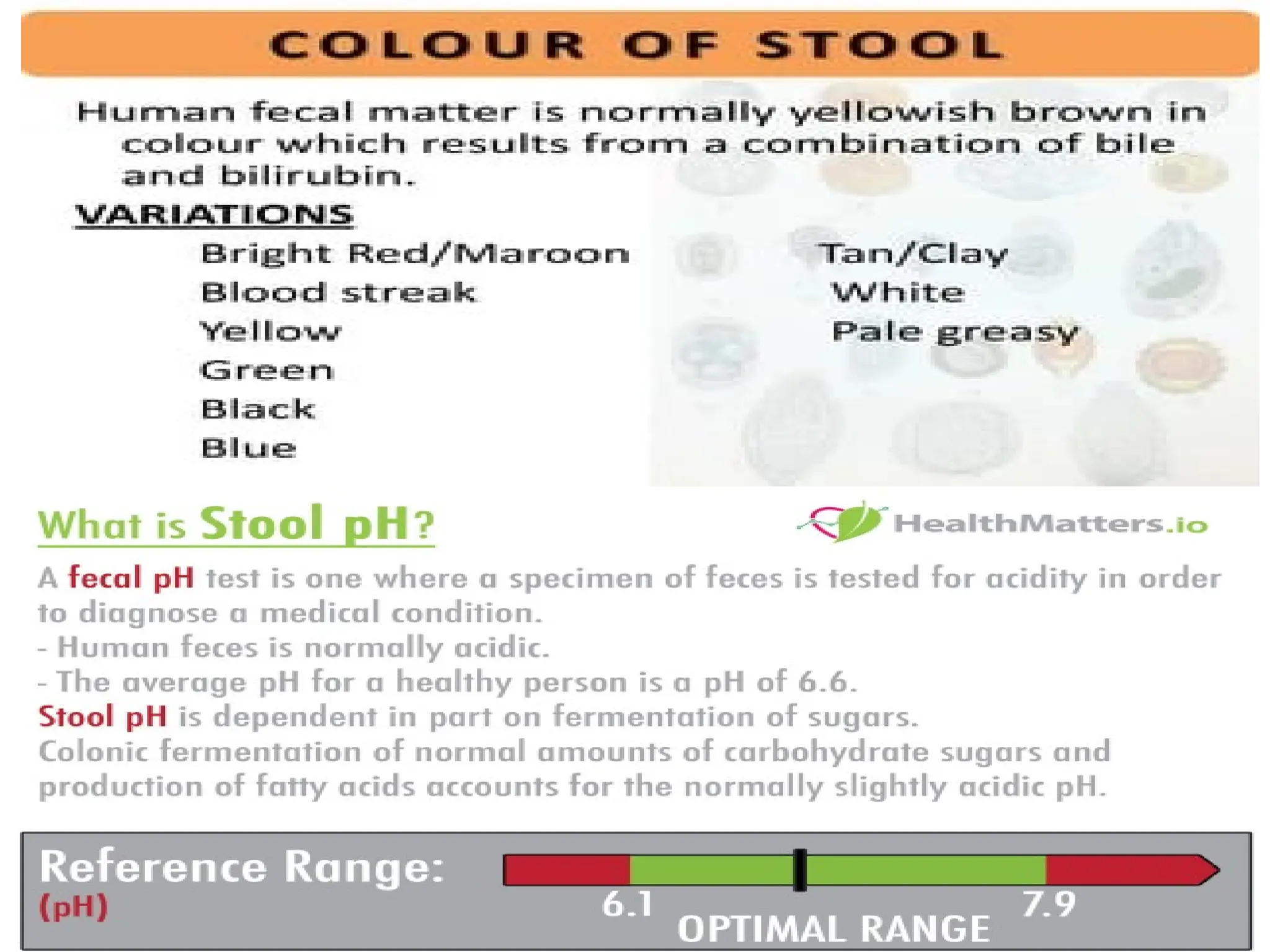 STOOL Routine Examination.pptxSTOOL Routine Examination.pptx