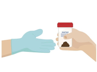 STOOL Routine Examination.pptxSTOOL Routine Examination.pptx