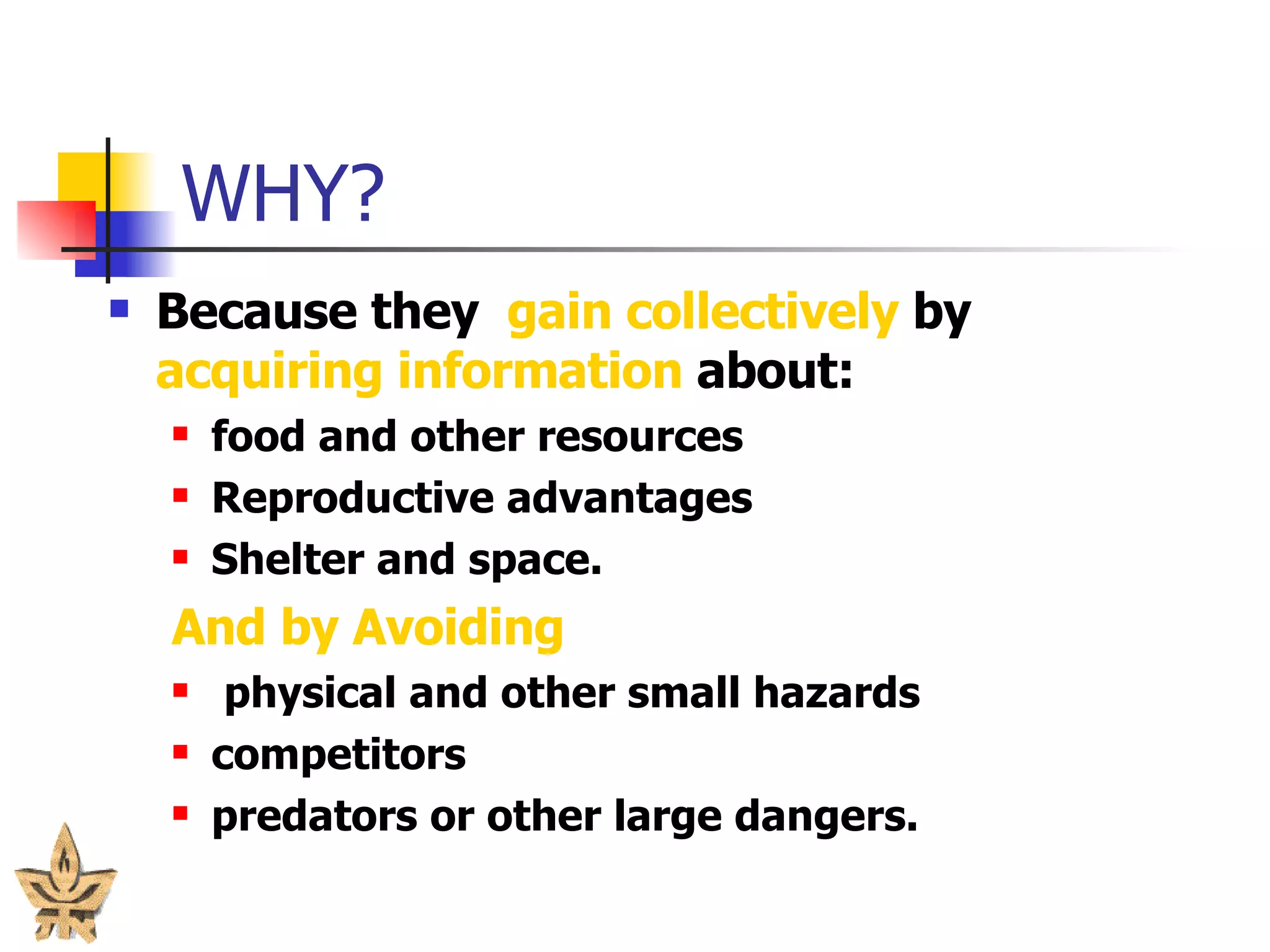 Stop model - Knowledge sharing | PPT