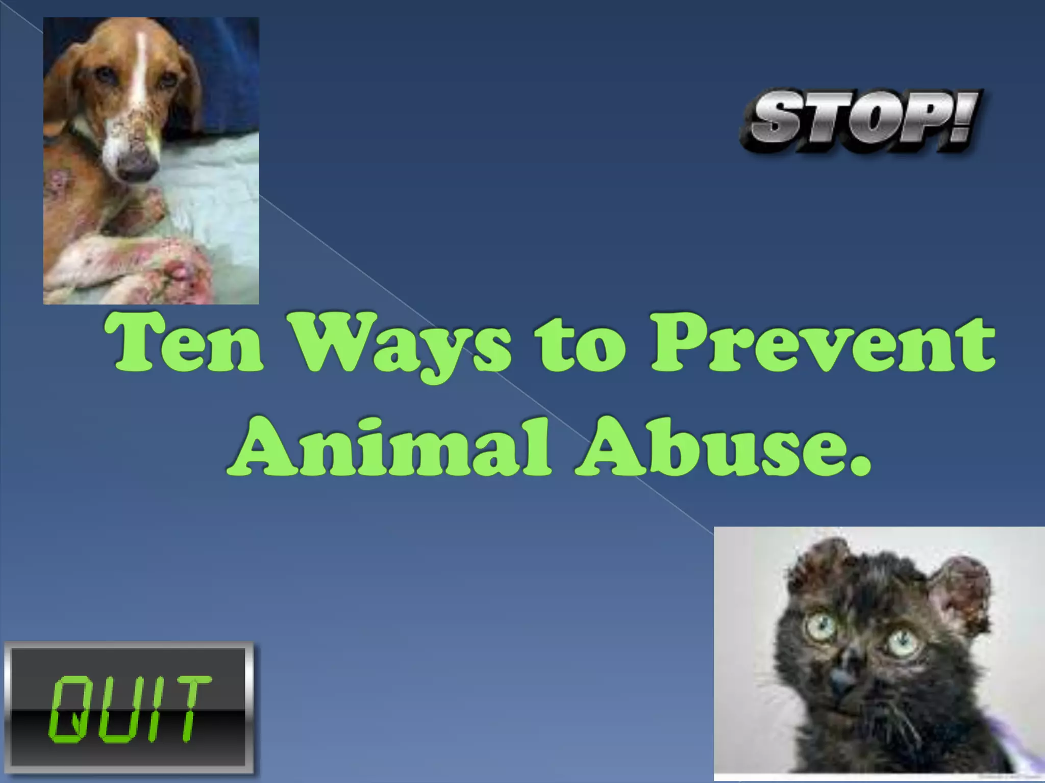Stop Animal Abuse | PPTX