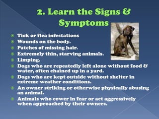 Stop Animal Abuse Signs