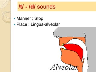 Stop consonants | PPTX