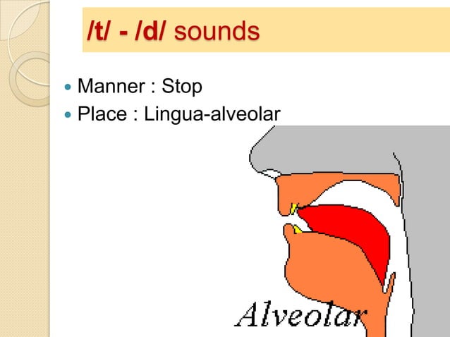 Stop consonants | PPTX | Dental Health | Diseases and Conditions