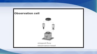 STOPPED FLOW METHOD & APPLICATION MURUGAVENI B.pptx