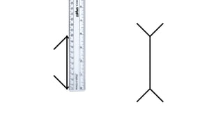 Stop fooling yourself with experiments | PDF