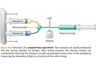 Determining the rate of a chemical reaction(Stopped-flow techniques) | PPTX