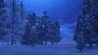 Stopping by Woods on a Snowy Evening-Robert Frost | PPTX