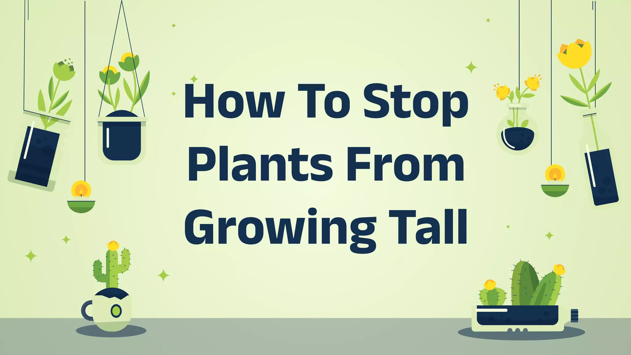Stop Plants From Growing Tall | PDF