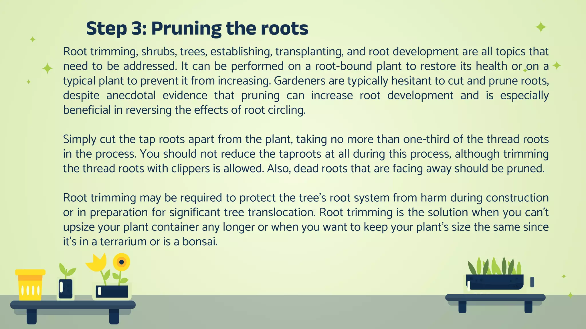 Stop Plants From Growing Tall | PDF