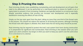Stop Plants From Growing Tall | PPT