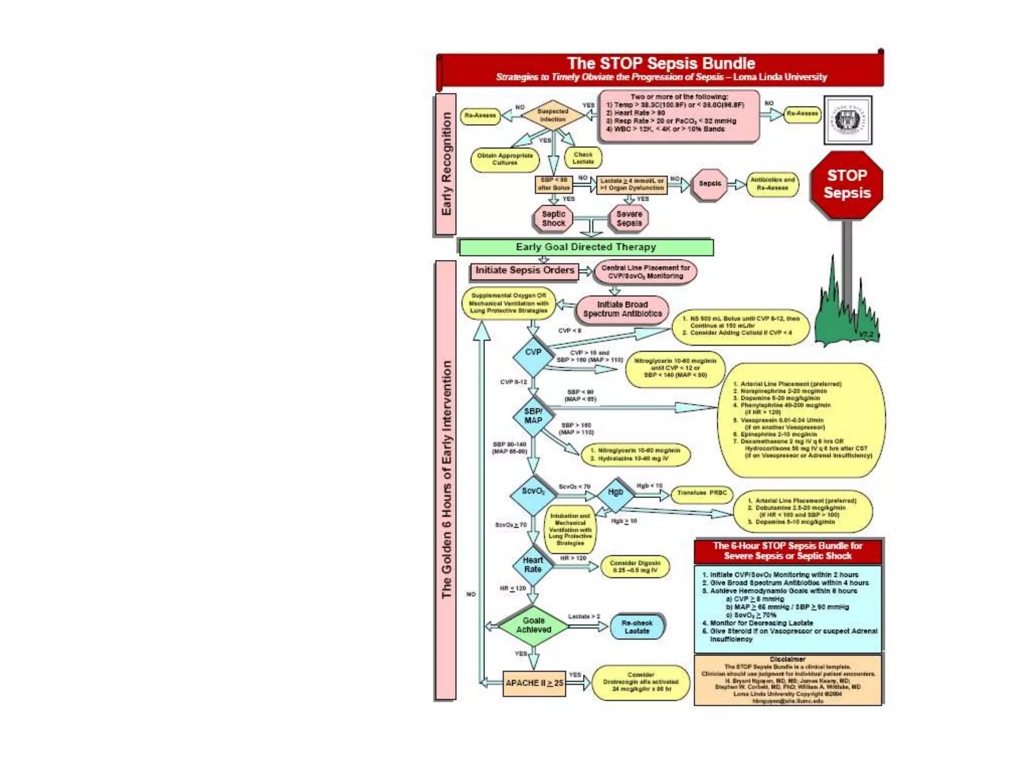 The STOP Sepsis Bundle | PPTX