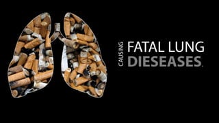 Stop Smoking | PDF