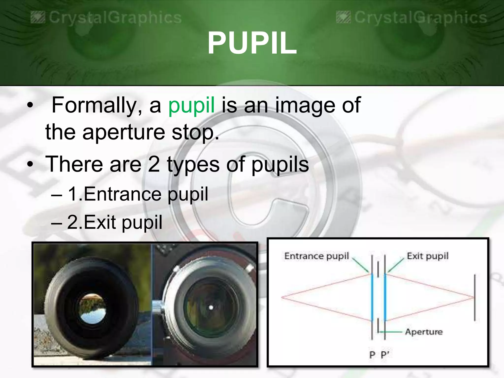 Stops pupils and ports | PPTX