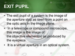 Stops pupils and ports | PPTX